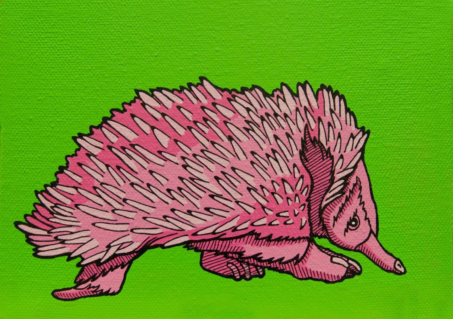 Pop Art Echidna Archival Print, Cute Echidna Art, Monotreme Art ...