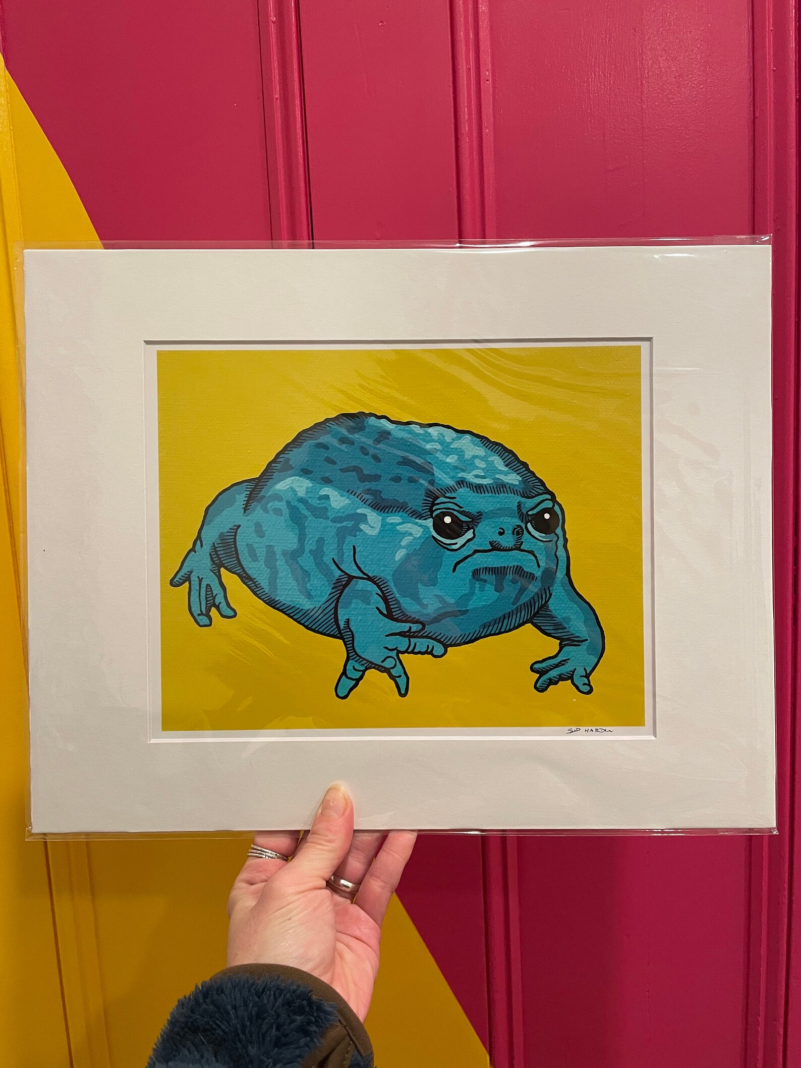 Pop Art Rain Frog Archival Print, Funny Rain Frog Art, Grumpy Frog Meme ...