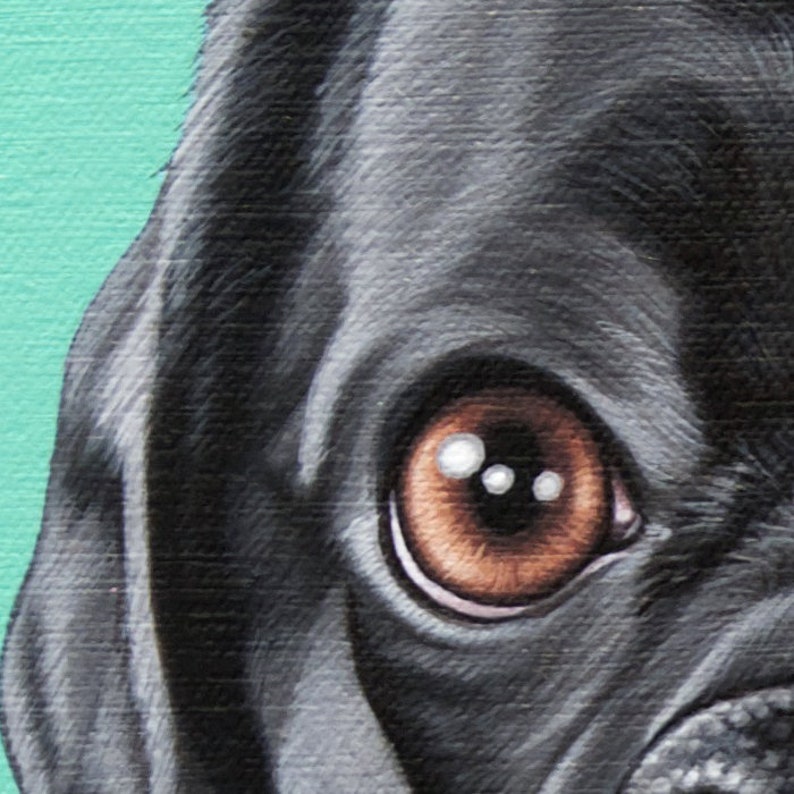 Custom Pet Portrait Pop Painting of Puggle Dog Black Puggle - Etsy