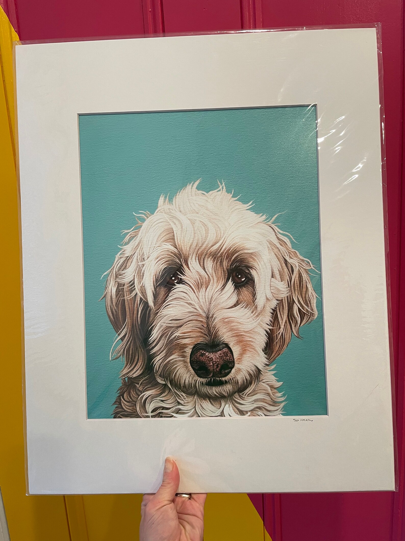 Labradoodle Archival Art Print Labradoodle Illustration I - Etsy Australia