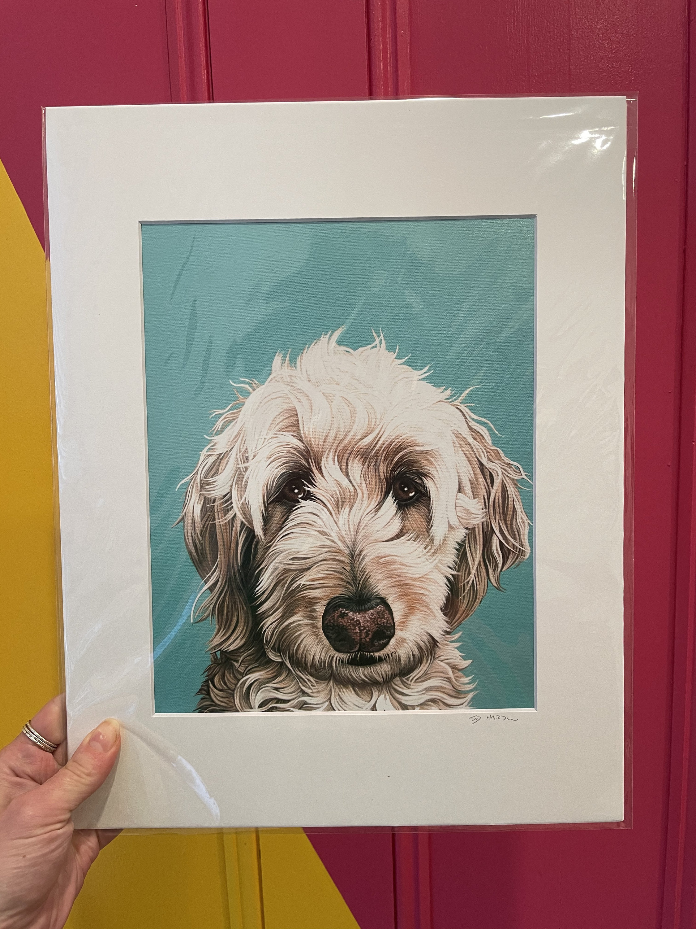 Labradoodle Archival Art Print Labradoodle Illustration I - Etsy