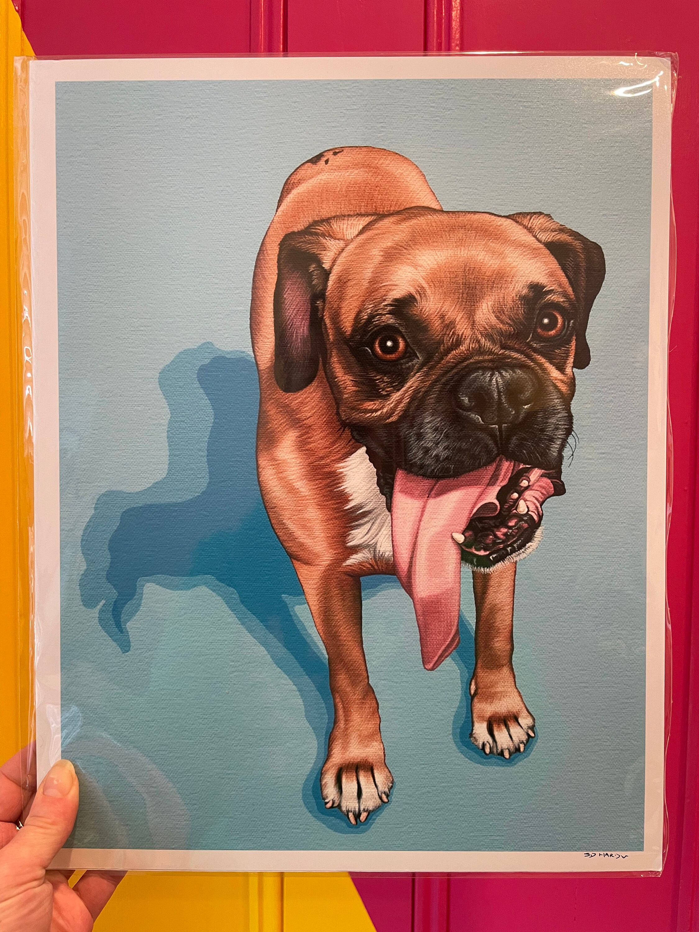 Cute Boxer Dog Drawings