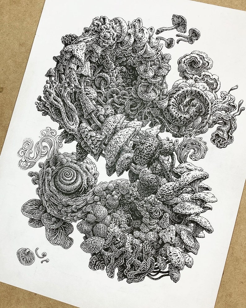 Mushroom Menagerie Screenprint, Limited Edition of 100, Signed and ...