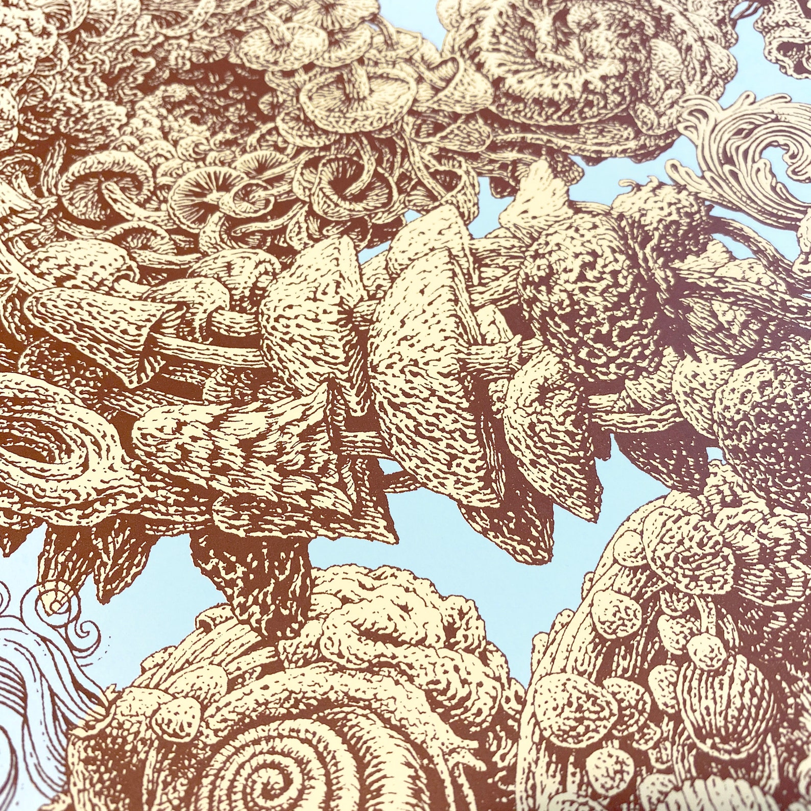 Mushroom Menagerie Screenprint, Limited Edition of 100, Signed and ...
