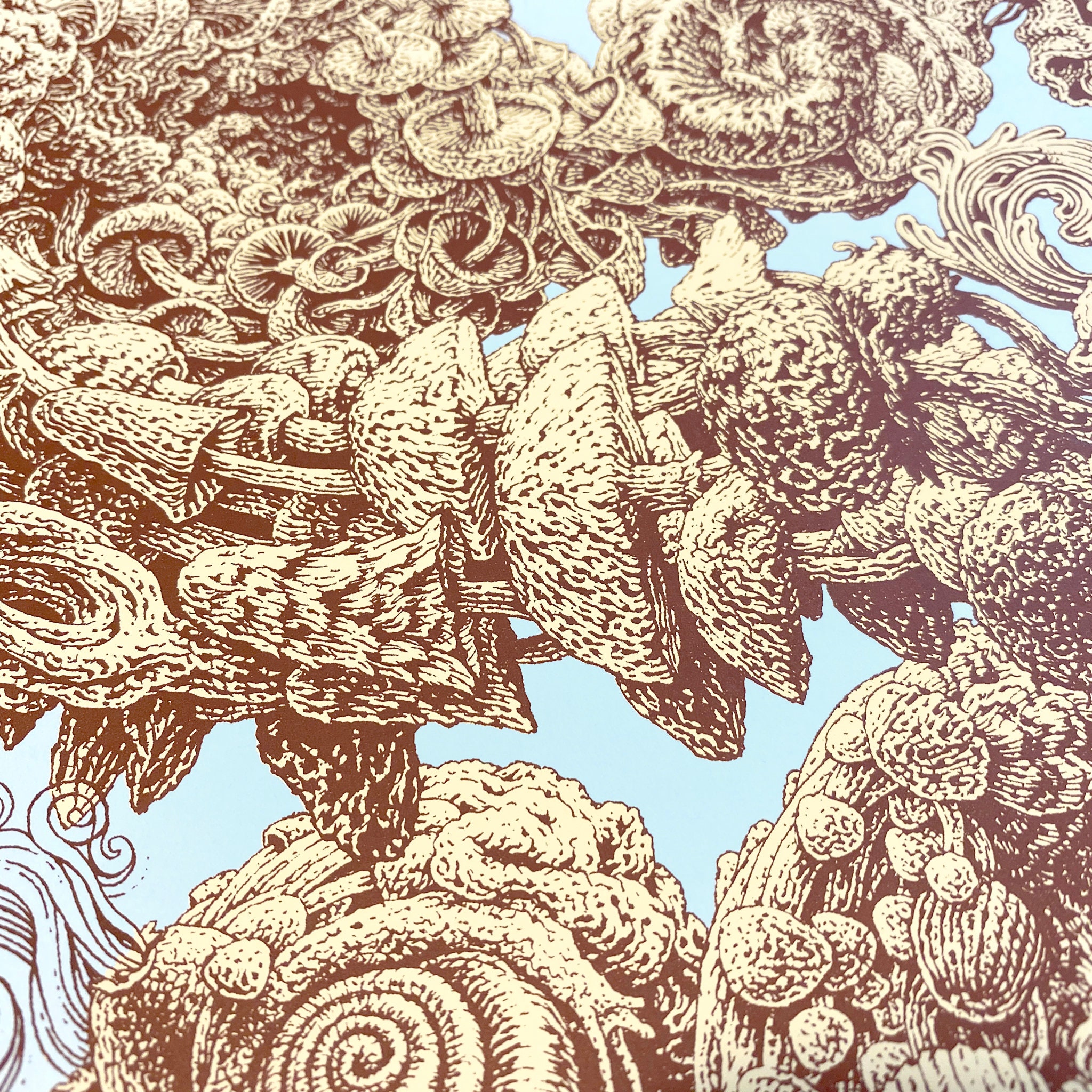 Mushroom Menagerie Screenprint, Limited Edition of 100, Signed and ...