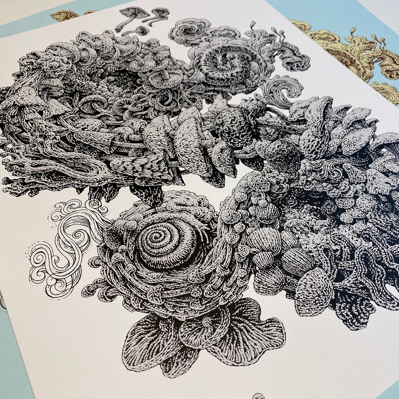 Mushroom Menagerie Screenprint, Limited Edition of 100, Signed and ...
