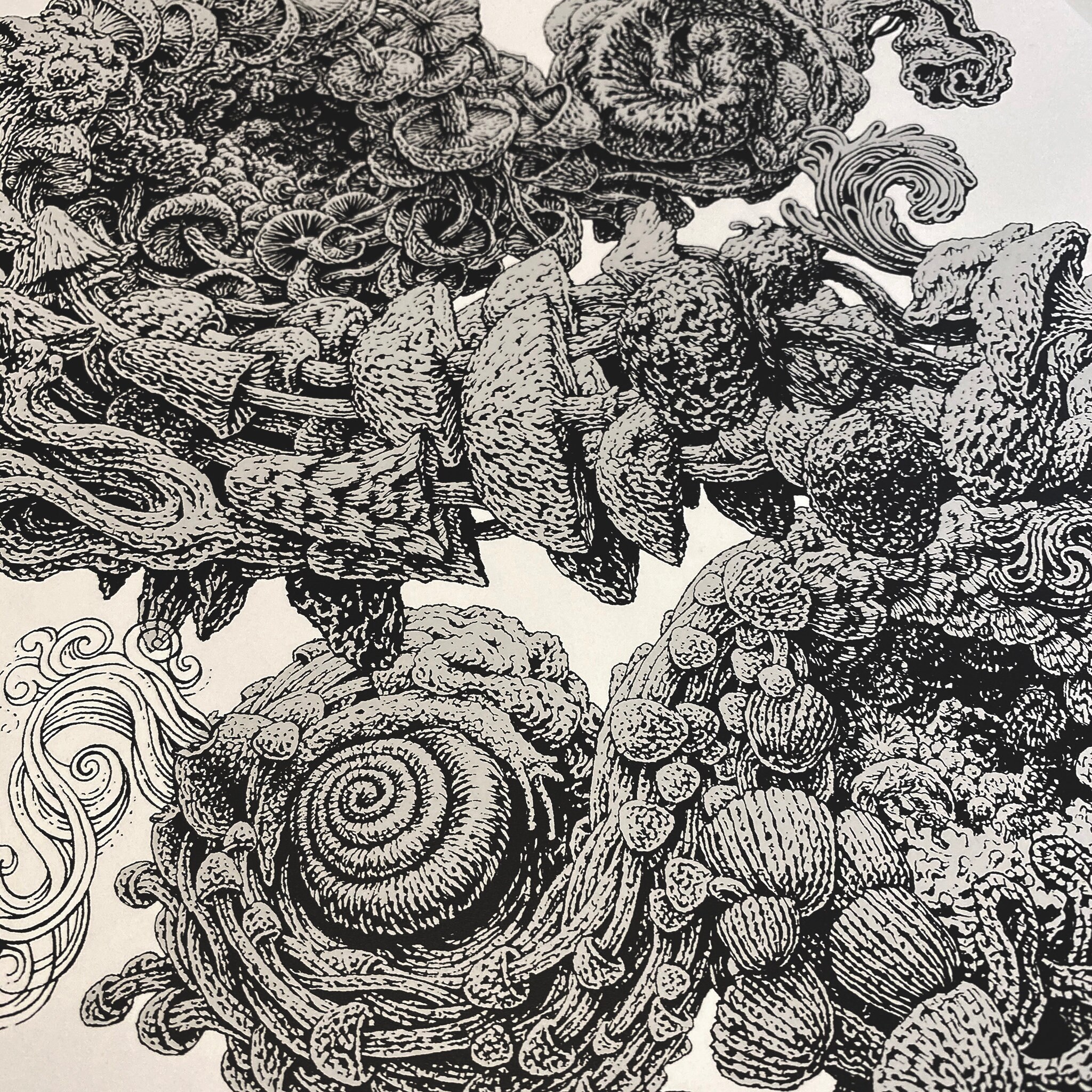 Mushroom Menagerie Screenprint, Limited Edition of 100, Signed and ...