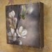 Encaustic Art, Wall Art Queen Anne's Lace With Butterflies - Etsy