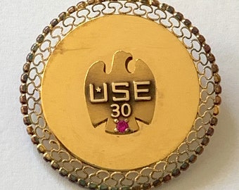 30 Year Service Pin - Etsy