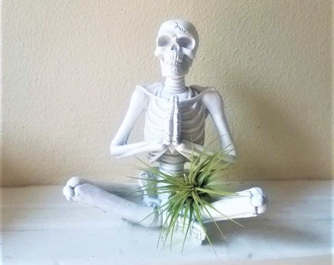 Prayer Pose Statue, Meditating Yoga Skeleton, Desktop Skeleton, Air ...