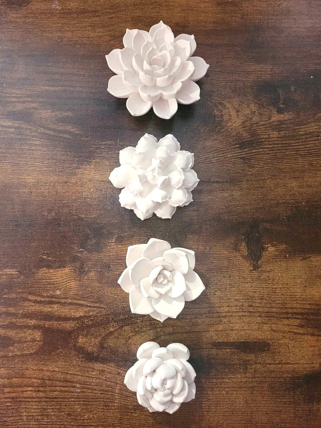 Succulent Wall Decor, Wall Hanging Succulent Sculptures, Set of 4 ...