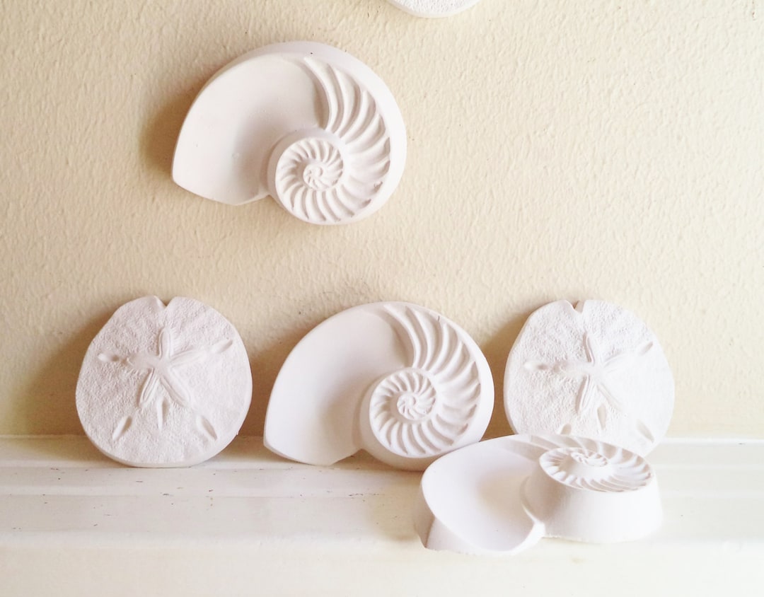 Sea Shell Wall Art, Nautilus Shells, Nautical Decor, Sea Shells, Beach ...