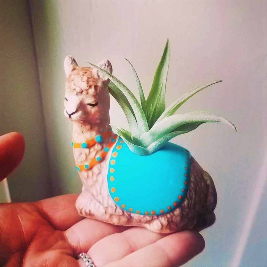 Llama Gift, Llama Planter, Air Plant Holder, Llama Gift, Desk Decor ...