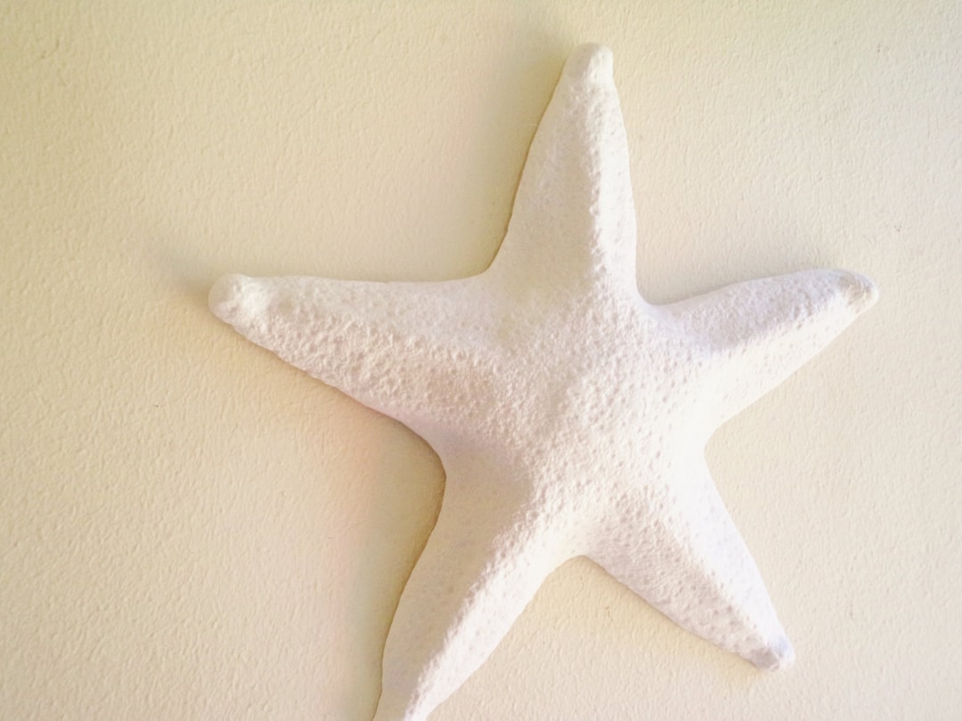 Large Starfish Wall Hanging Sculpture: Beachy Wall Decor, Seashell Art ...
