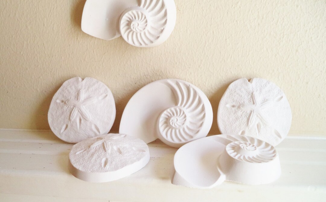 Nautical Shell Wall Sculptures: Sand Dollar & Nautilus Decor - Etsy