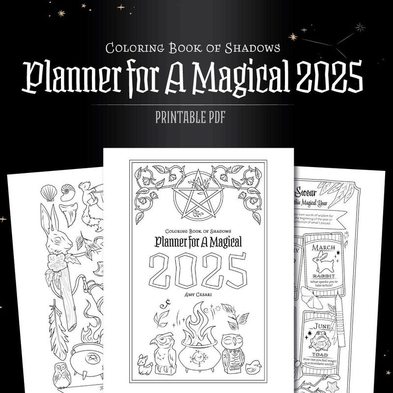 Planner for a Magical 2025 Pdf - Etsy