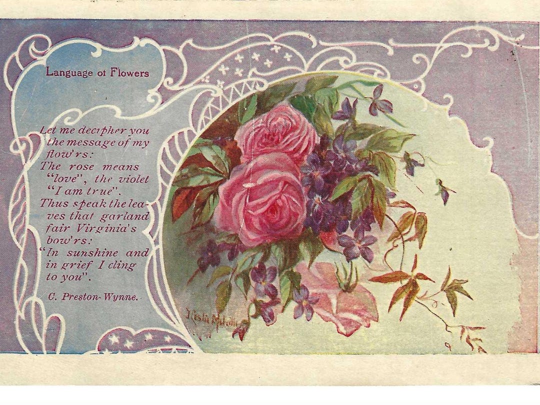 Language of Flowers, Roses and Violets Postcard, 1909 - Etsy