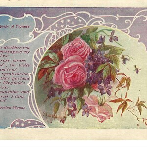 Language of Flowers, Roses and Violets Postcard, 1909 - Etsy