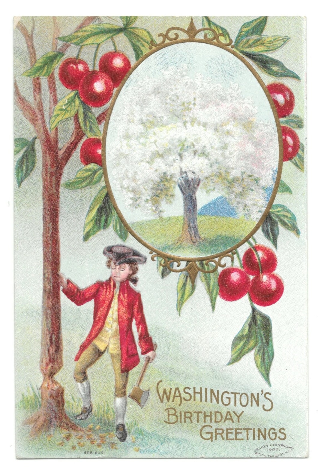Young Washington Cherry Tree Postcard 1909 - Etsy