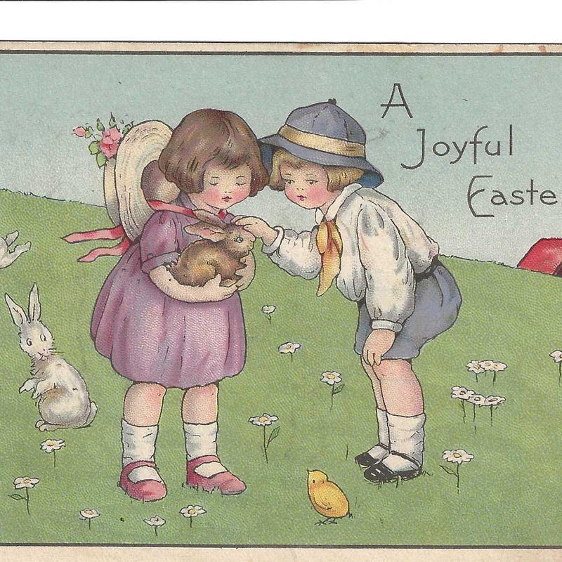 Angela Rabbit - Etsy