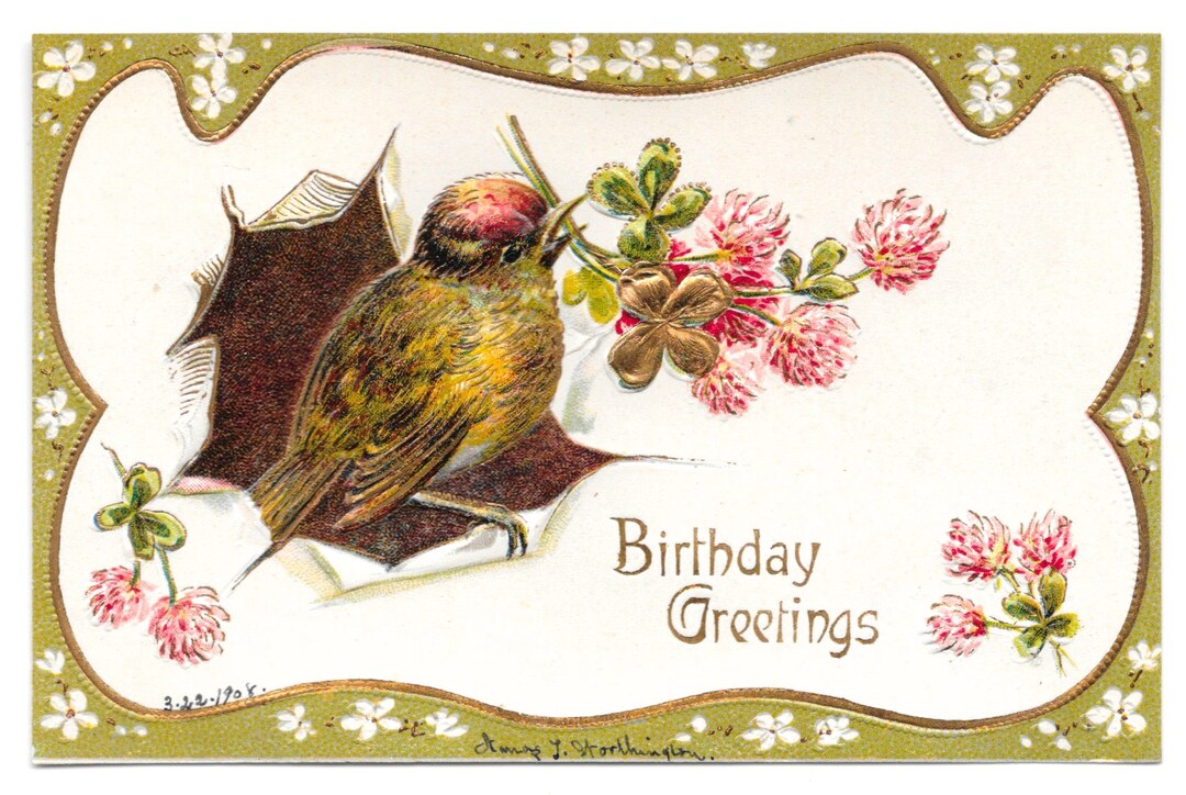 Bird and Clover Birthday Postcard 1908 - Etsy