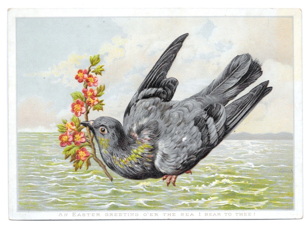 Victorian Pigeon With Cherry Blossom Easter Card, C. 1880 - Etsy Ireland