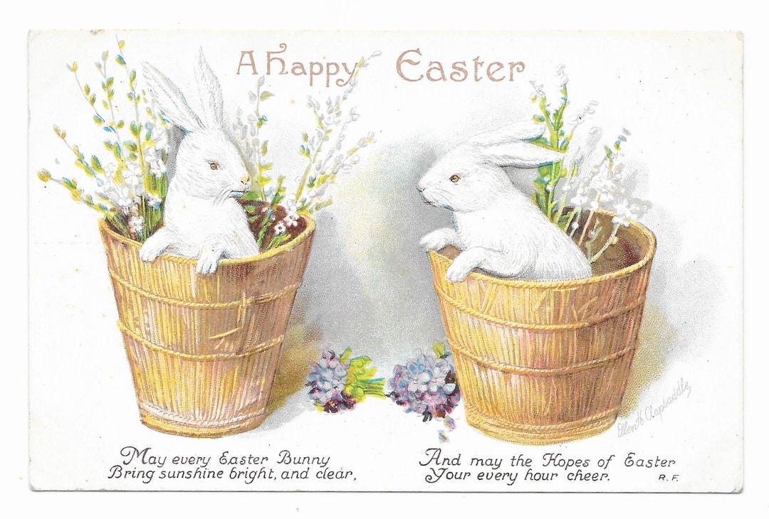Clapsaddle Bunnies in Baskets Easter Postcard, C. 1910 - Etsy