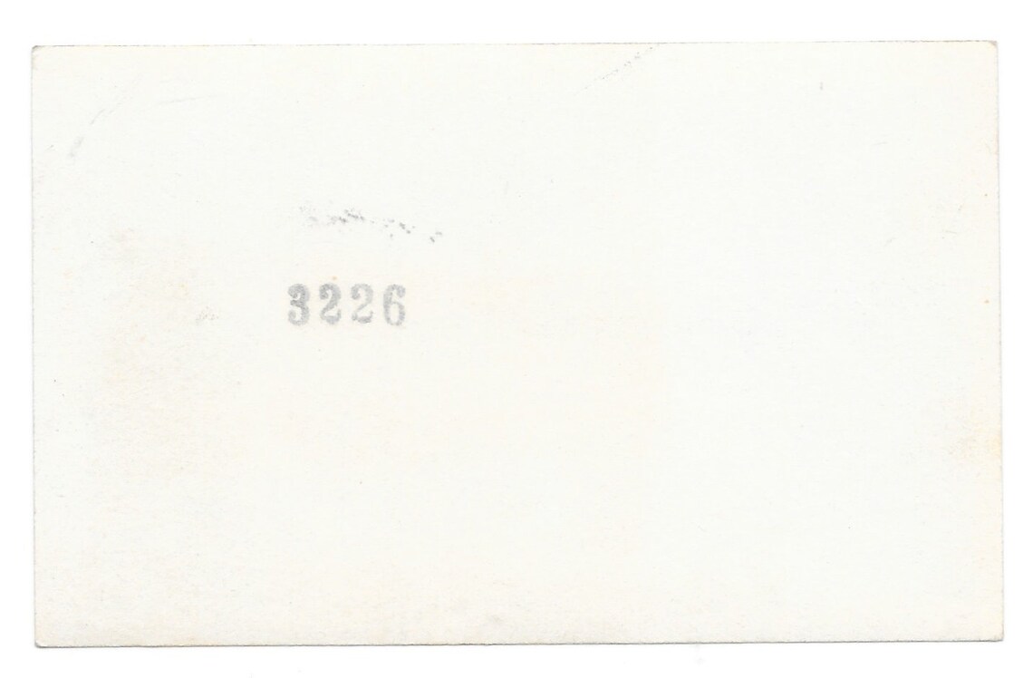 Airplane Parade Float Photo C. 1920 - Etsy