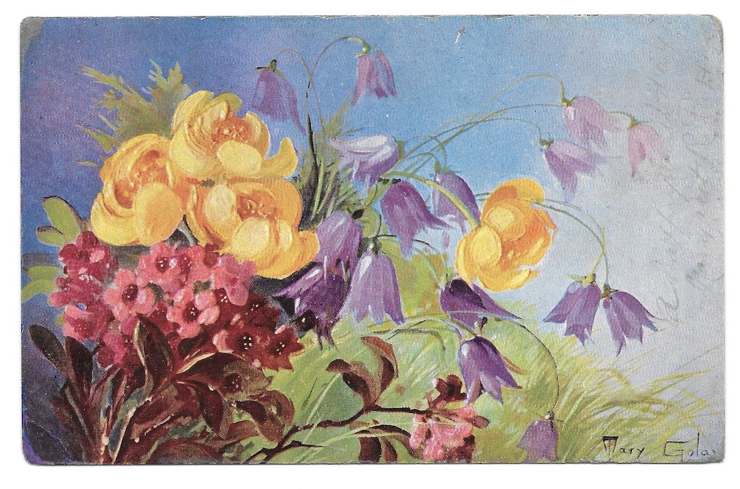 Mary Golay Colorful Blooms Postcard, 1906 - Etsy