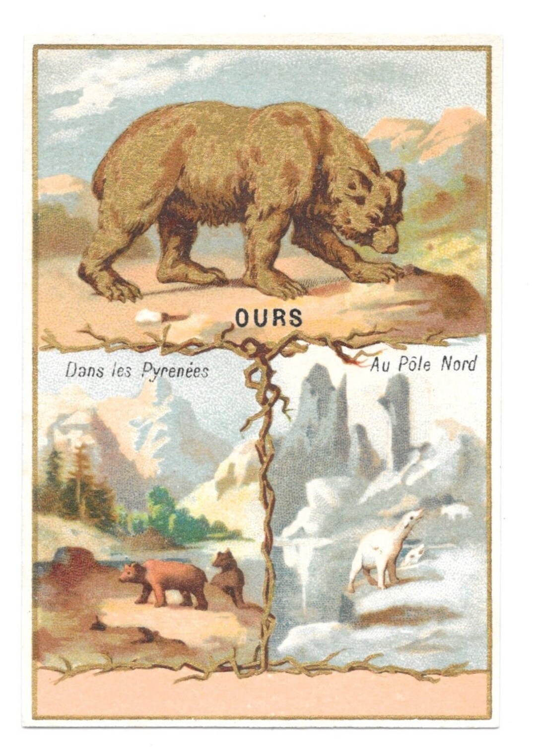 Victorian Bears French Album Card, C. 1880 - Etsy