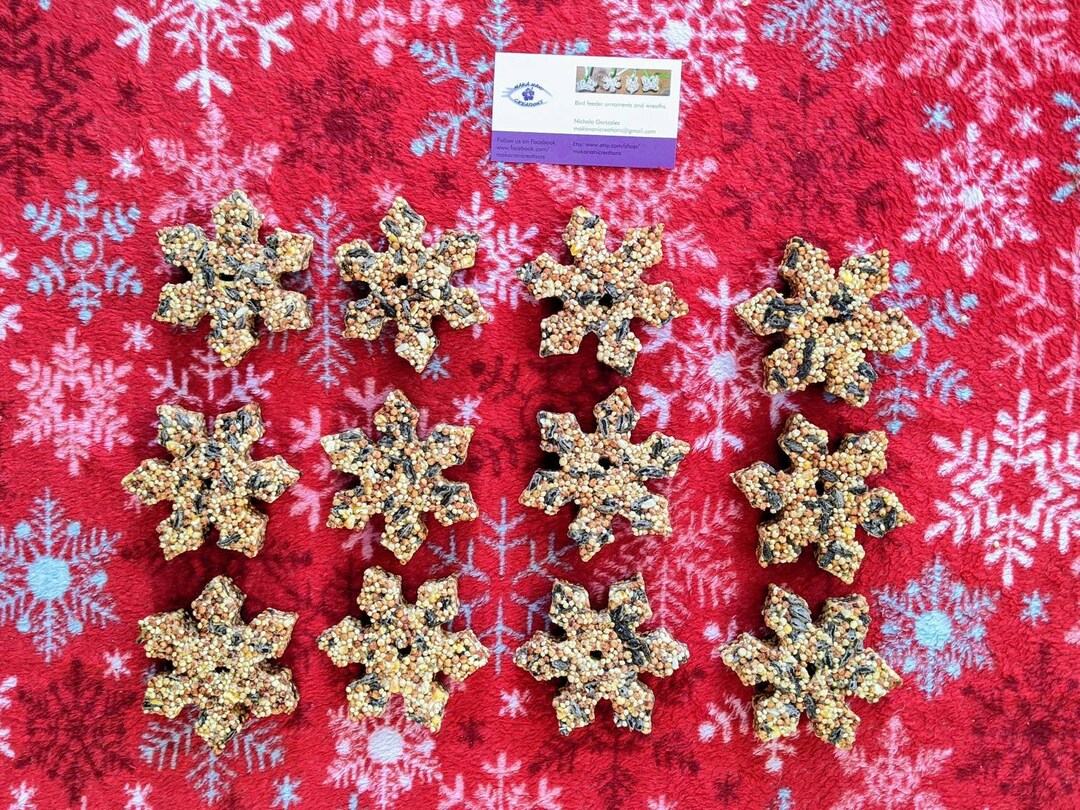 Wild Bird Seed Snowflake Ornament Feeders - Set of 12--2 Week Turn ...