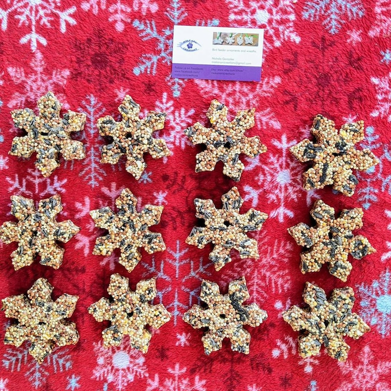 Treats for Garden Birds - Etsy