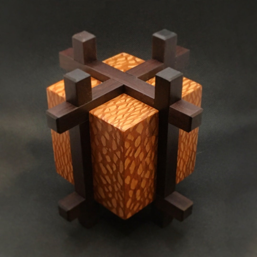 Caged Block Puzzle Box - Etsy