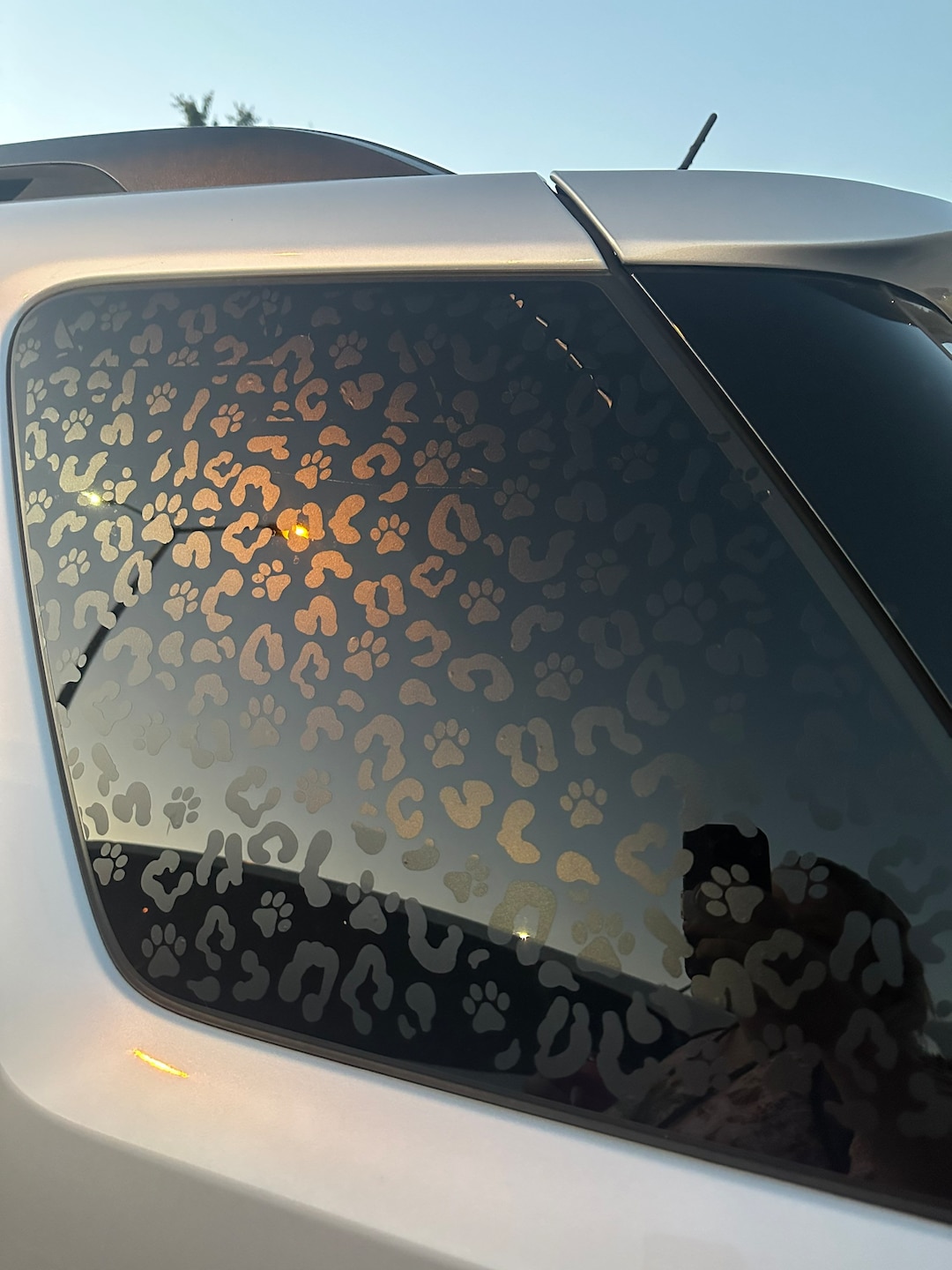 Cheetah Mat Black Car Decal Cheetah With Paw Prints Mat Black - Etsy