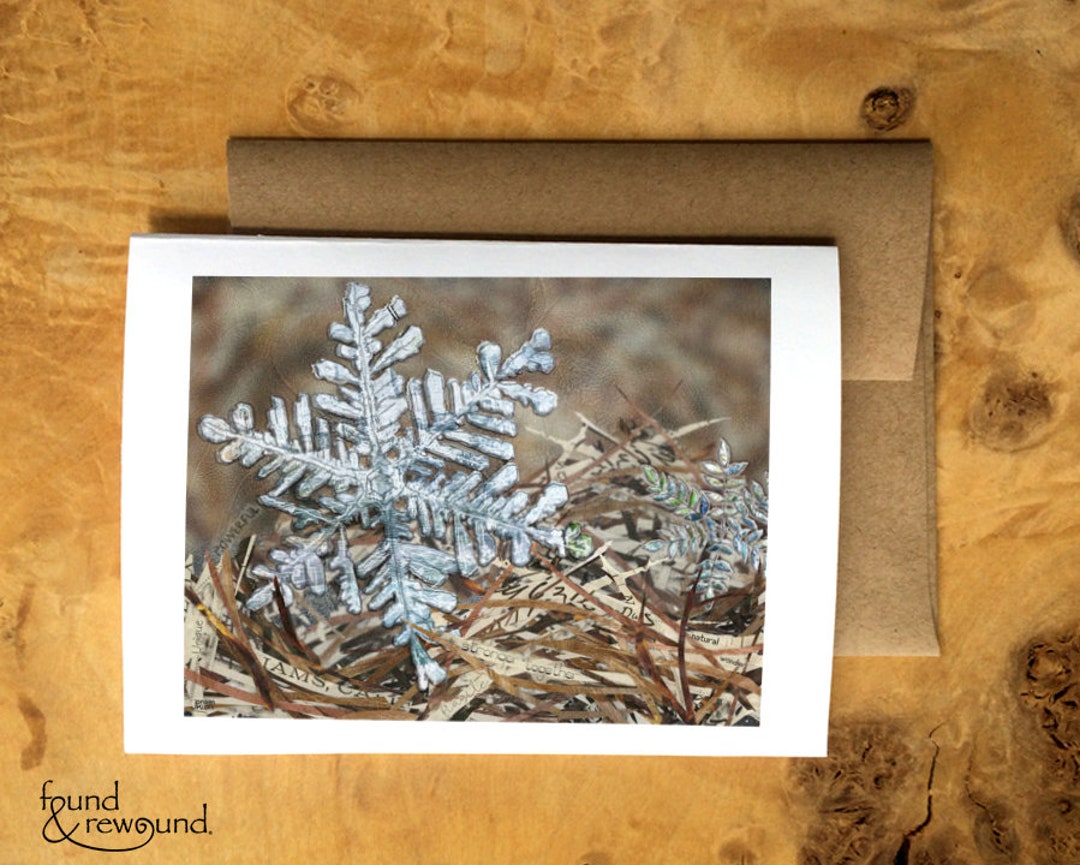 Greeting Card of a Snowflake in Forest Duff - Winter - Snow - Anytime ...