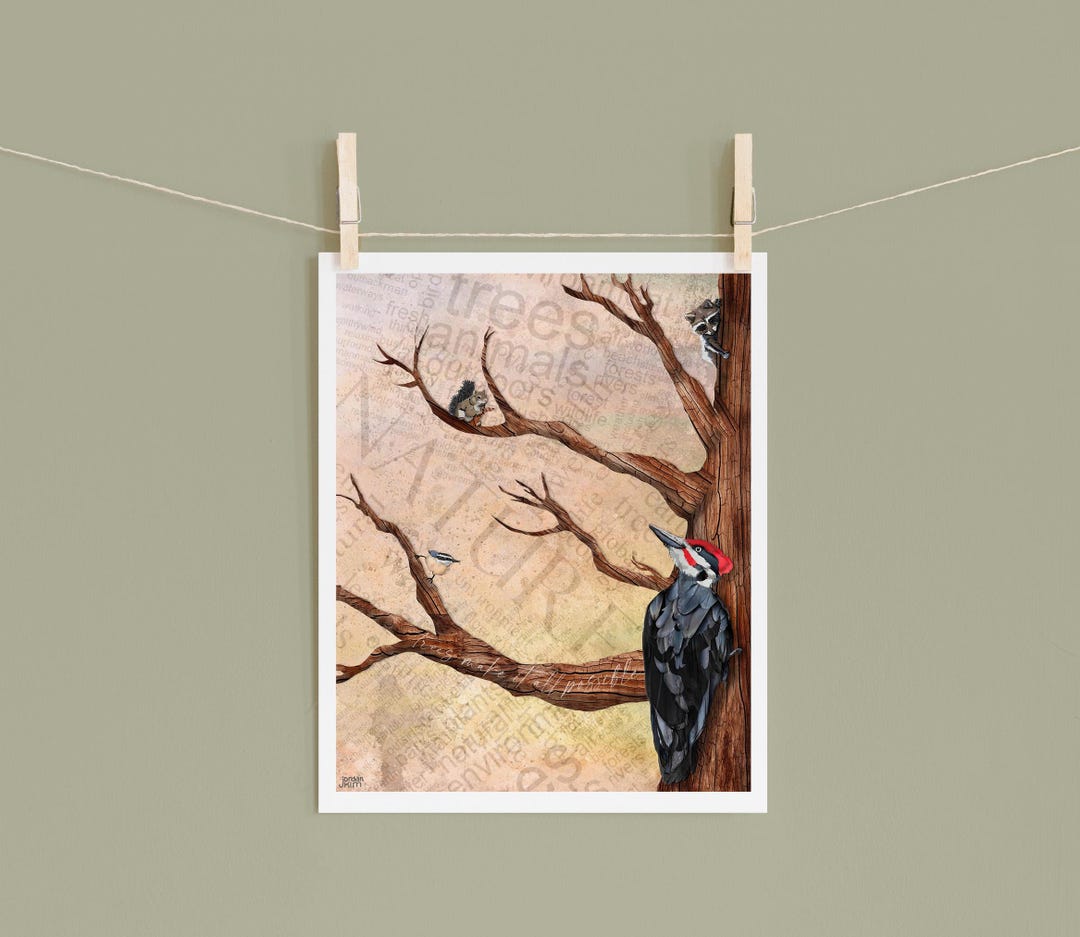 Animal Tree Art Print: Woodpecker, Squirrel, Raccoon (8x10) - Etsy