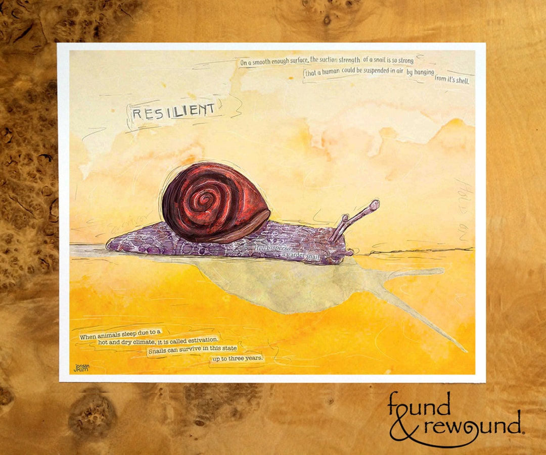 8x10 Art Print of a Paper Collage of a Snail With the Word Resilient ...