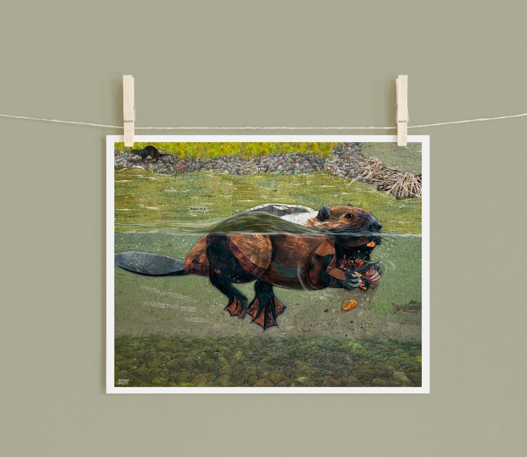 8x10 Art Print of a Mixed Media Collage of a Beaver Swimming ...