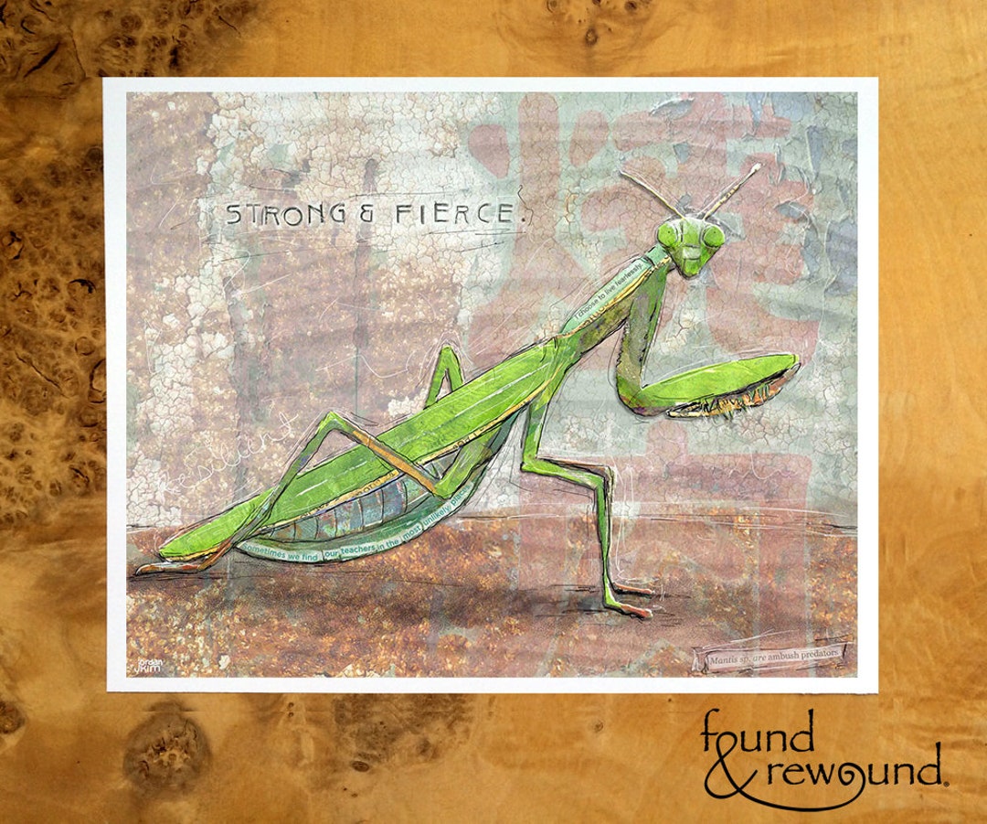 Praying Mantis Art Print: Strong & Fierce Collage (8x10) - Etsy