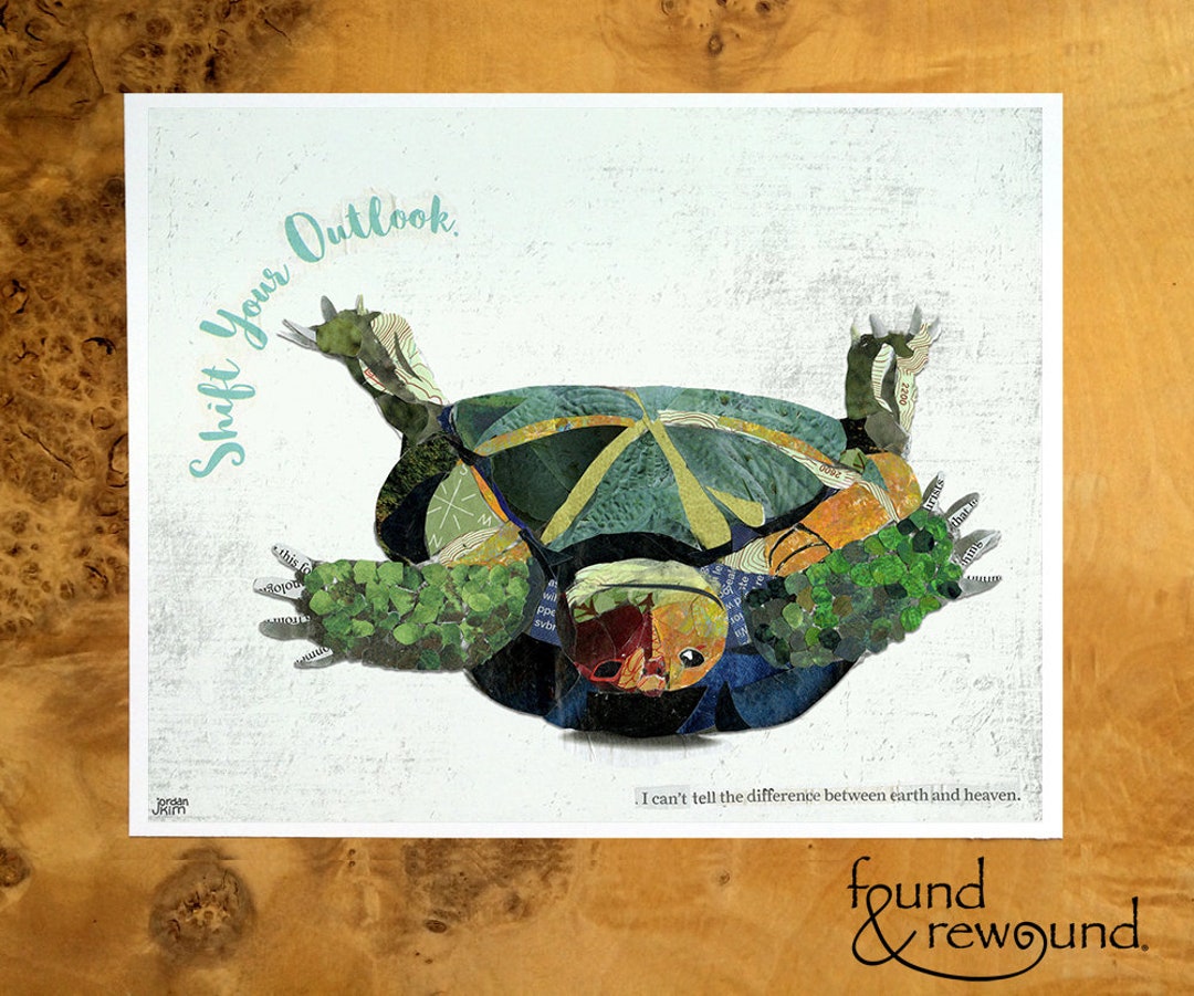 8x10 Art Print of a Turtle on Its Back Shift Your Outlook Inspiration ...