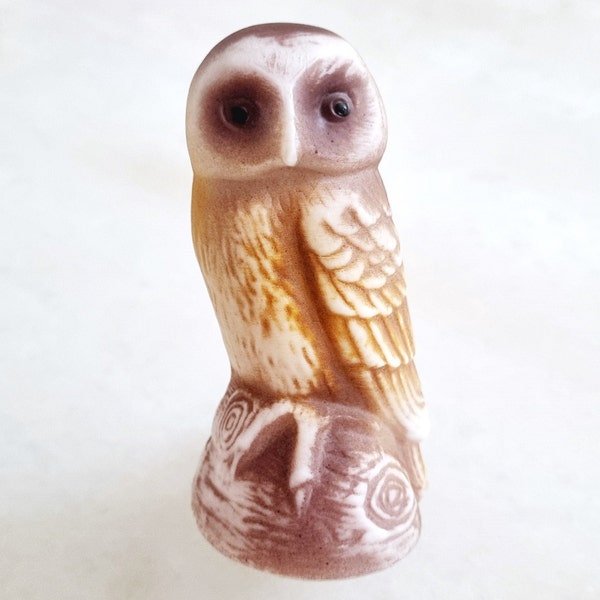 Seashell Spondylus Echinatus Zonalis Spondylidae Thorny Oyster Shell - Etsy