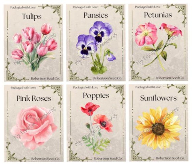 Flower Seed Packet Printable Set of 12 | Spring Crafting | Digital ...