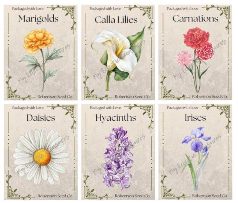 Flower Seed Packet Printable Set of 12 | Spring Crafting | Digital ...