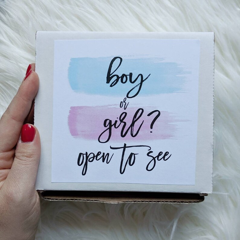 Gender Reveal Mini Canvas | Gender Reveal Mail Announcement | Gender ...