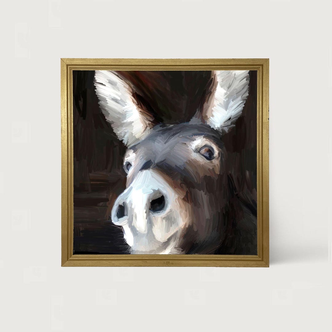 Donkey: [framed Print] Closeup Donkey Face in a Farmhouse Style Print ...