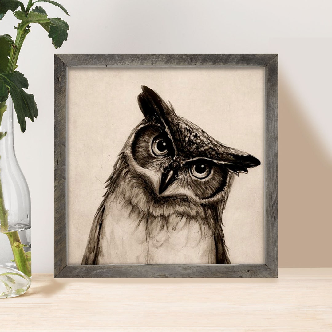 Owl Pen and Ink: framed Print Beautiful Curious Owl, Perfect for Those ...