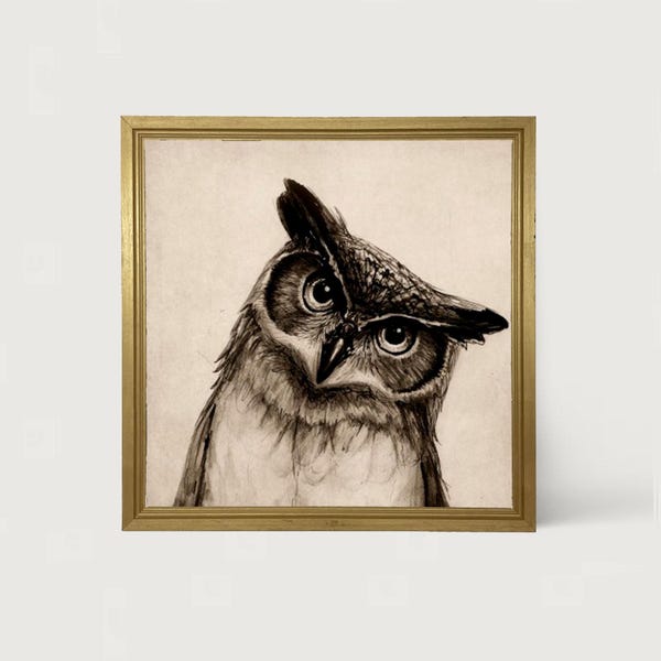 Curious Owl Wall Art - Etsy