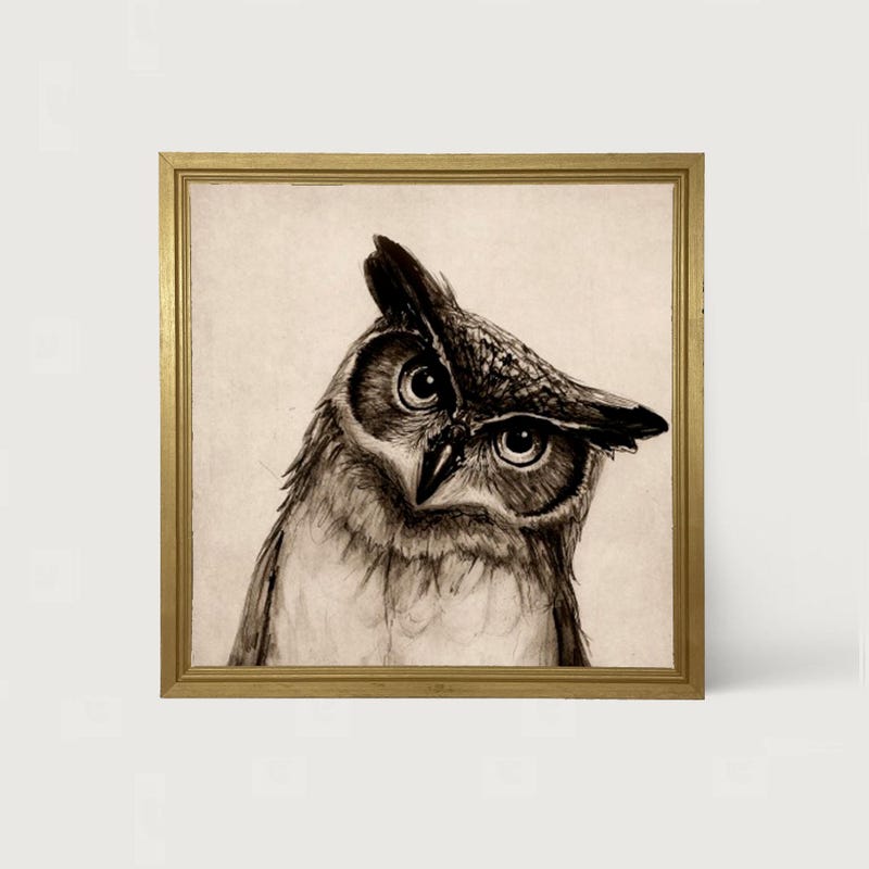 Curious Owl Wall Art - Etsy