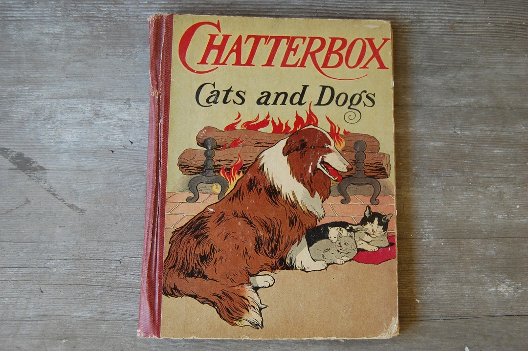 The Chatterbox Book of Cats and Dogs 1909 First Edition - Etsy