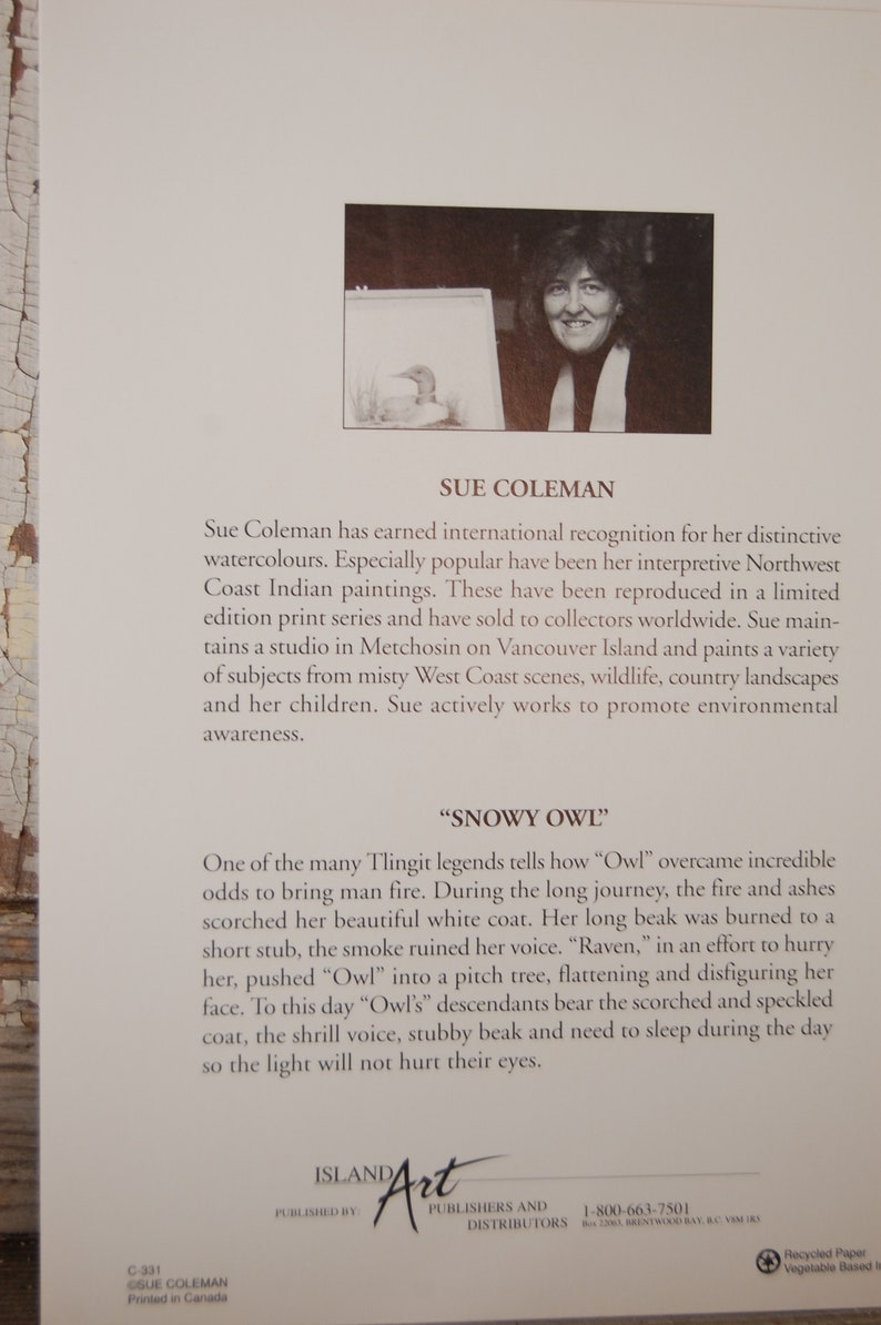 Native Canadian Indigenous Inuit Art Cards Frameable 9 X - Etsy